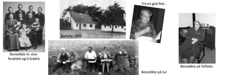 landbrug – Herning Historie